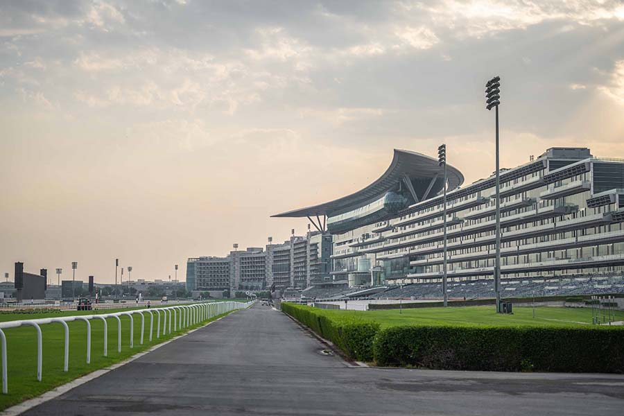 Gallery - The Track, Meydan Golf